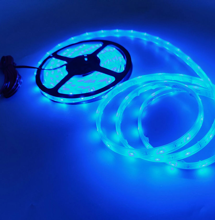 3528 Blue LED strip Light IP68